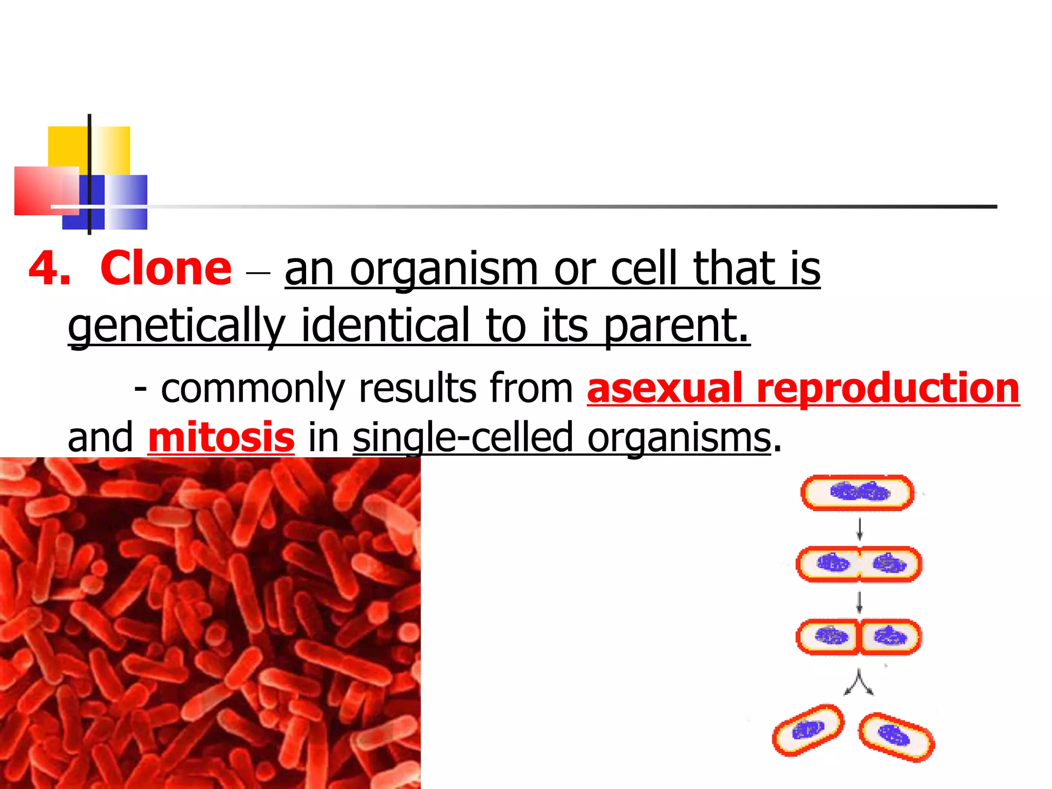 Genetic Engineering[1] | PPT