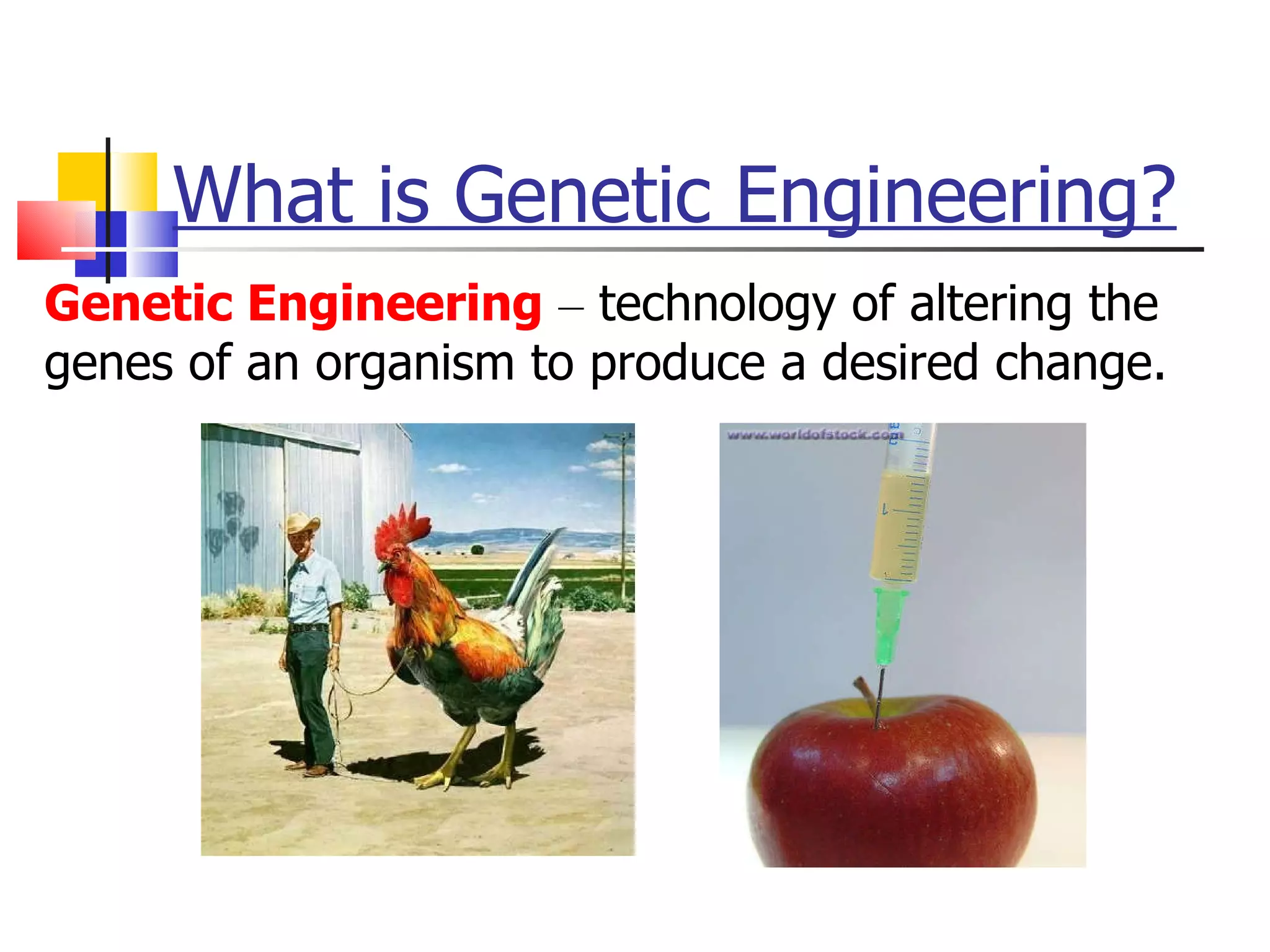 Genetic Engineering[1] | PPT