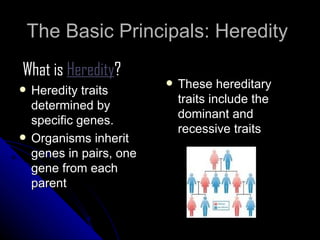 Genetic engineering[1] | PPT