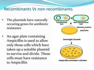 Genetic engineering | PPT