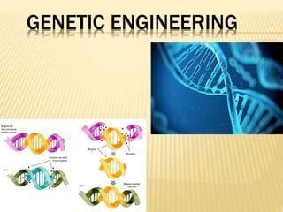 Genetic engineering | PPT