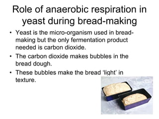 Genetic Engineering1.pptx