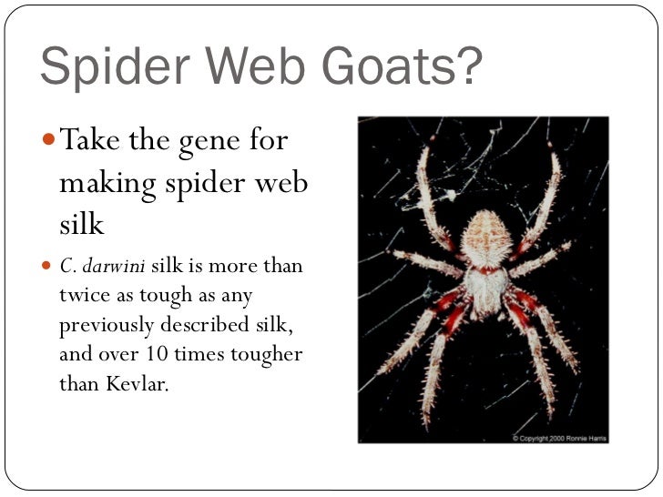 Genetic engineering2