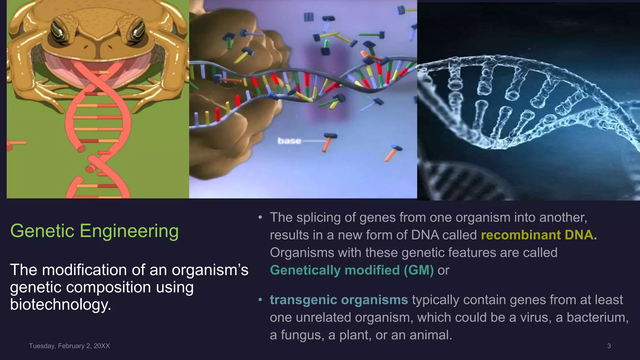 Genetic Engineering and Biotechnology.pptx