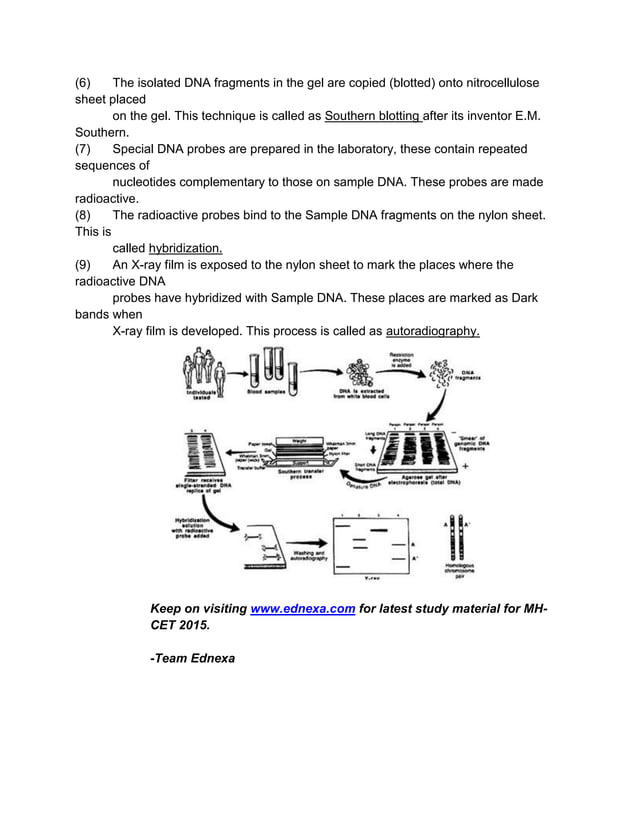 Genetic Engineering and Genomics Notes - MH-CET 2015 | PDF | Genetics ...