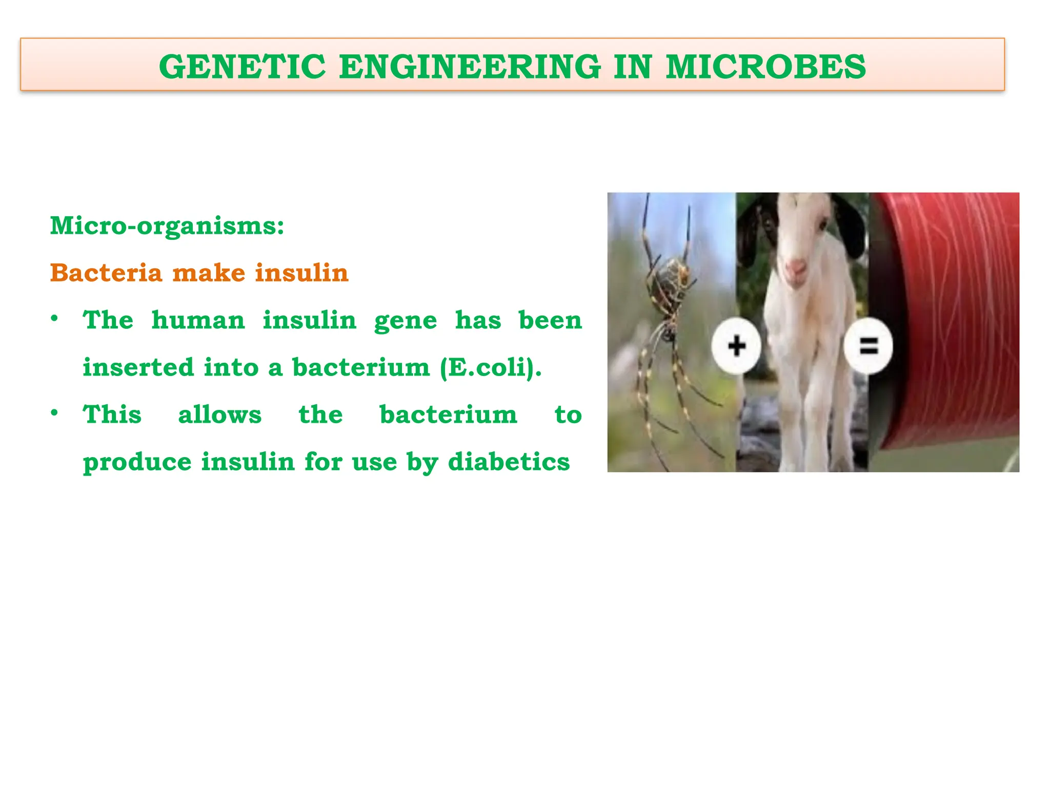 GENETIC ENGINEERING AND ITS APPLICATION.pptx