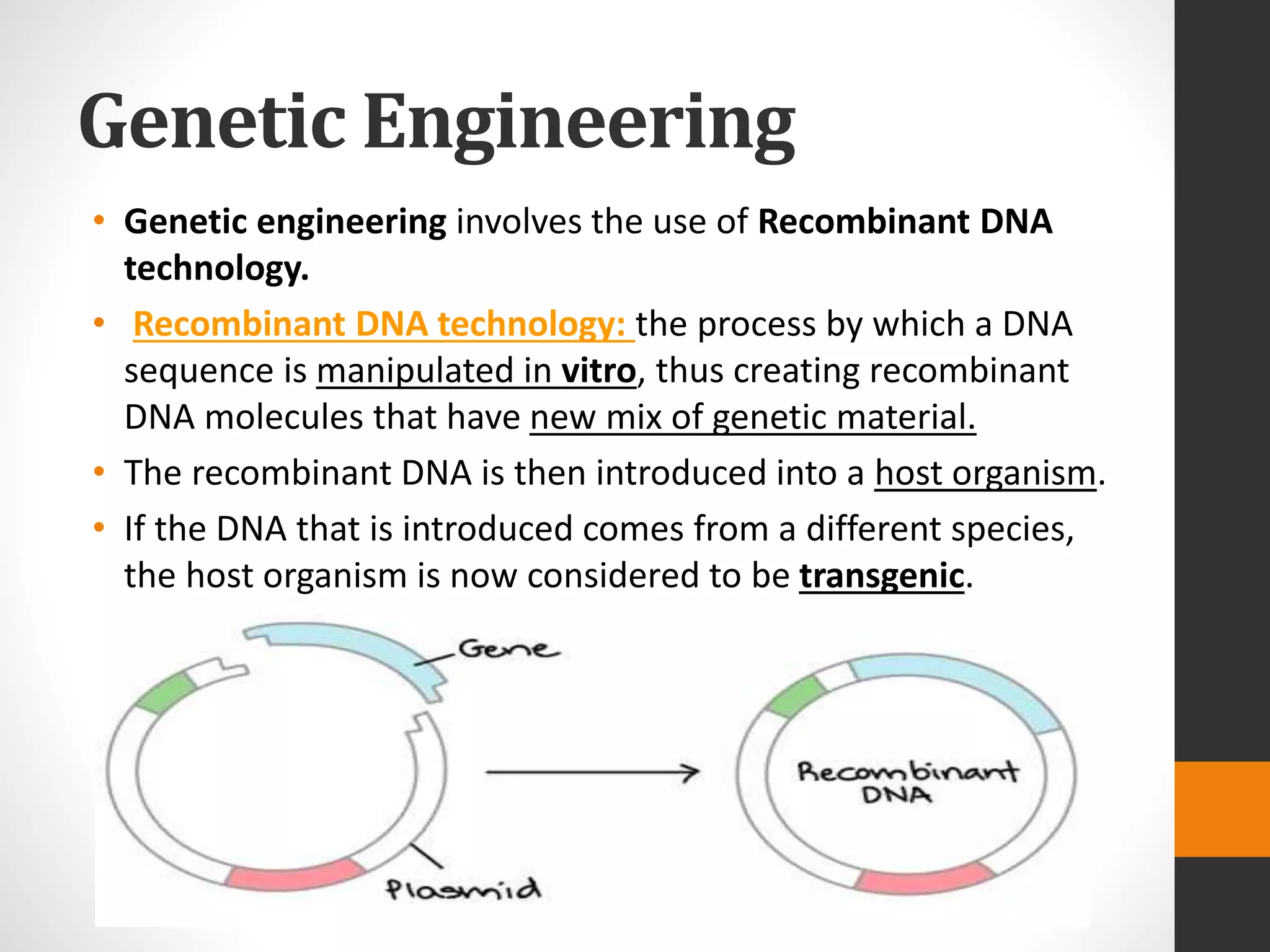 Genetic engineering and Recombinant DNA | PPTX
