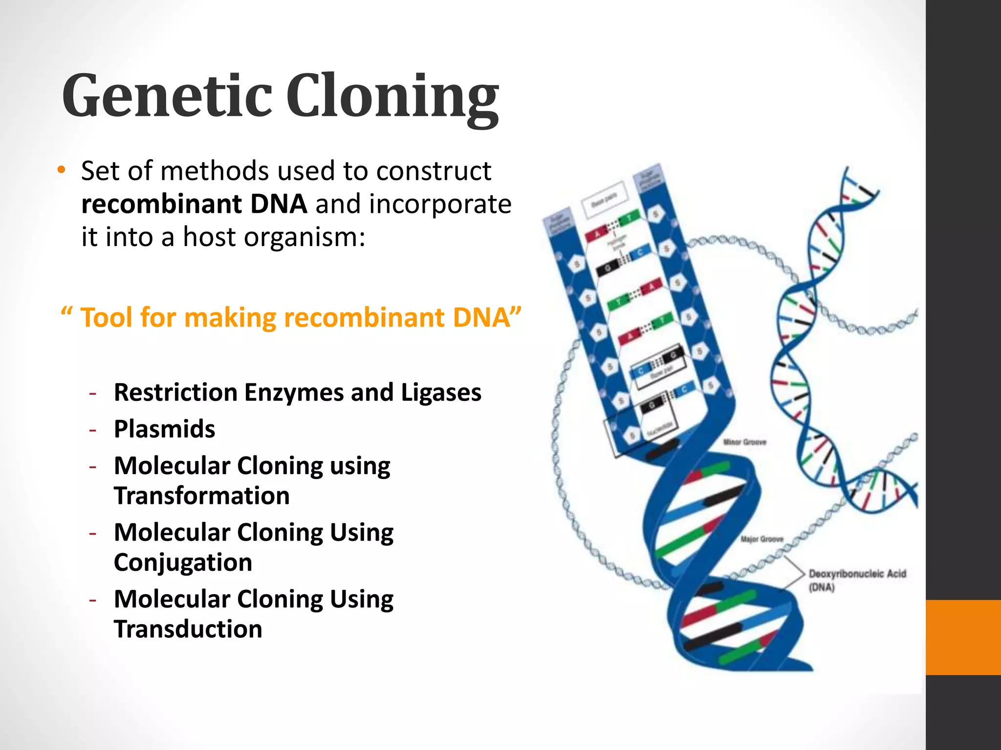 Genetic engineering and Recombinant DNA | PPTX