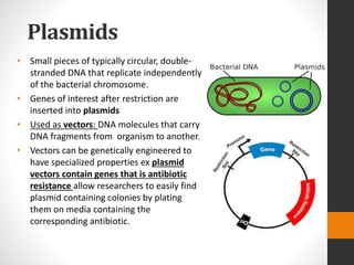 Genetic engineering and Recombinant DNA | PPTX