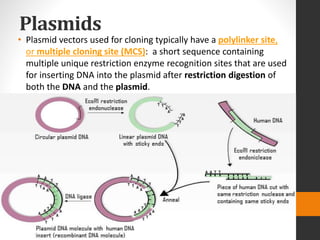Genetic engineering and Recombinant DNA | PPTX
