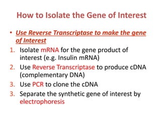 Genetic engineering and recombinant DNA technology (1).pptx