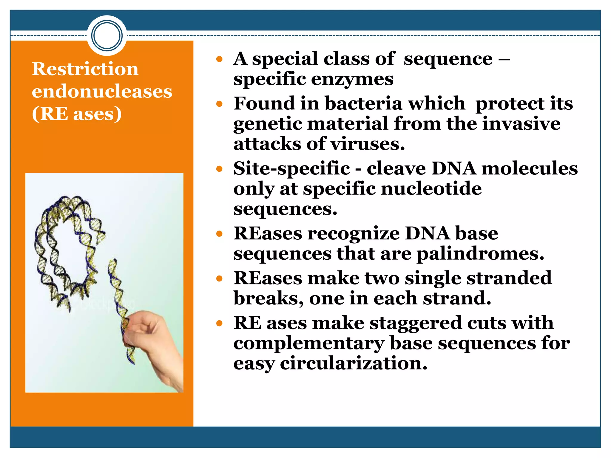 Genetic engineering and recombinant DNA technology | PPTX