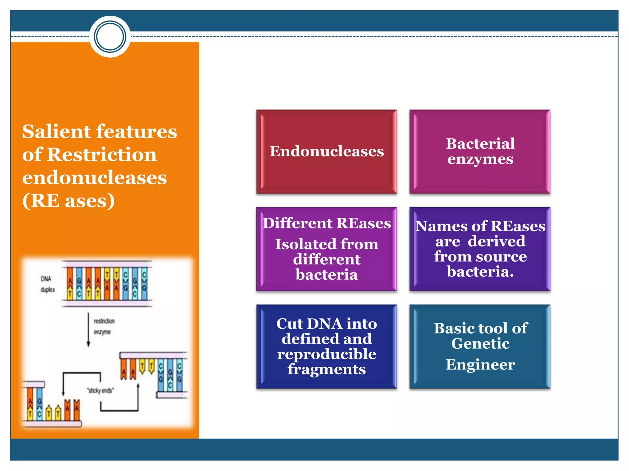 Genetic engineering and recombinant DNA technology | PPTX