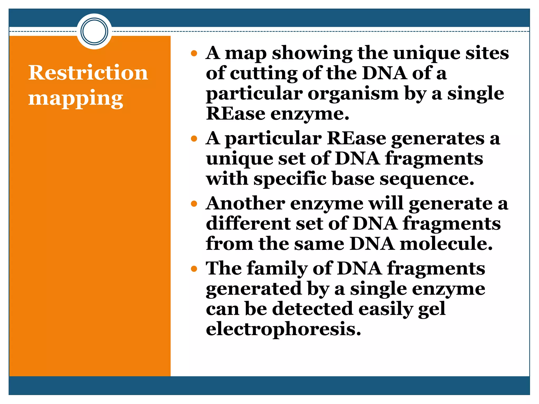 Genetic engineering and recombinant DNA technology | PPTX