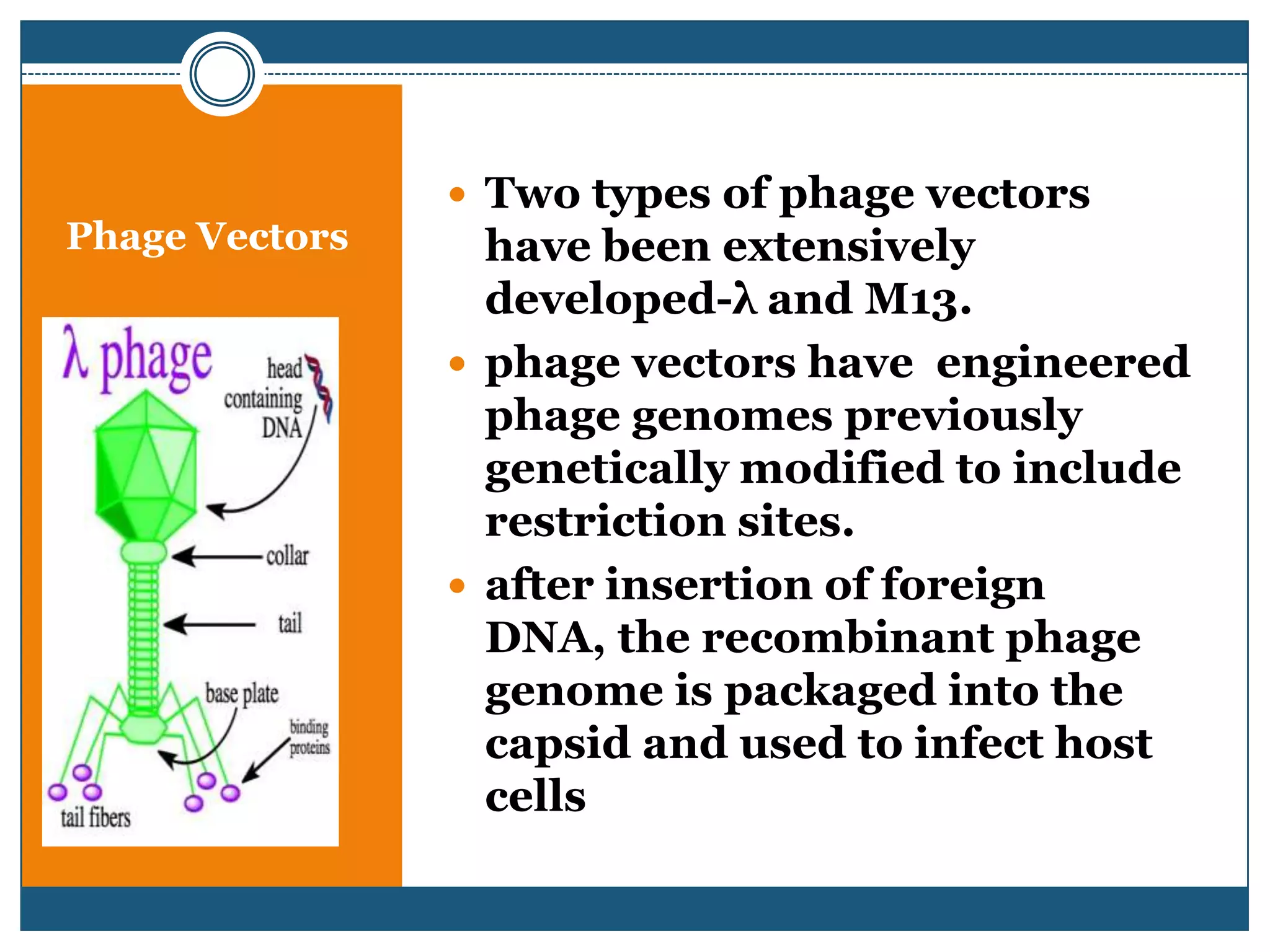 Genetic engineering and recombinant DNA technology | PPTX