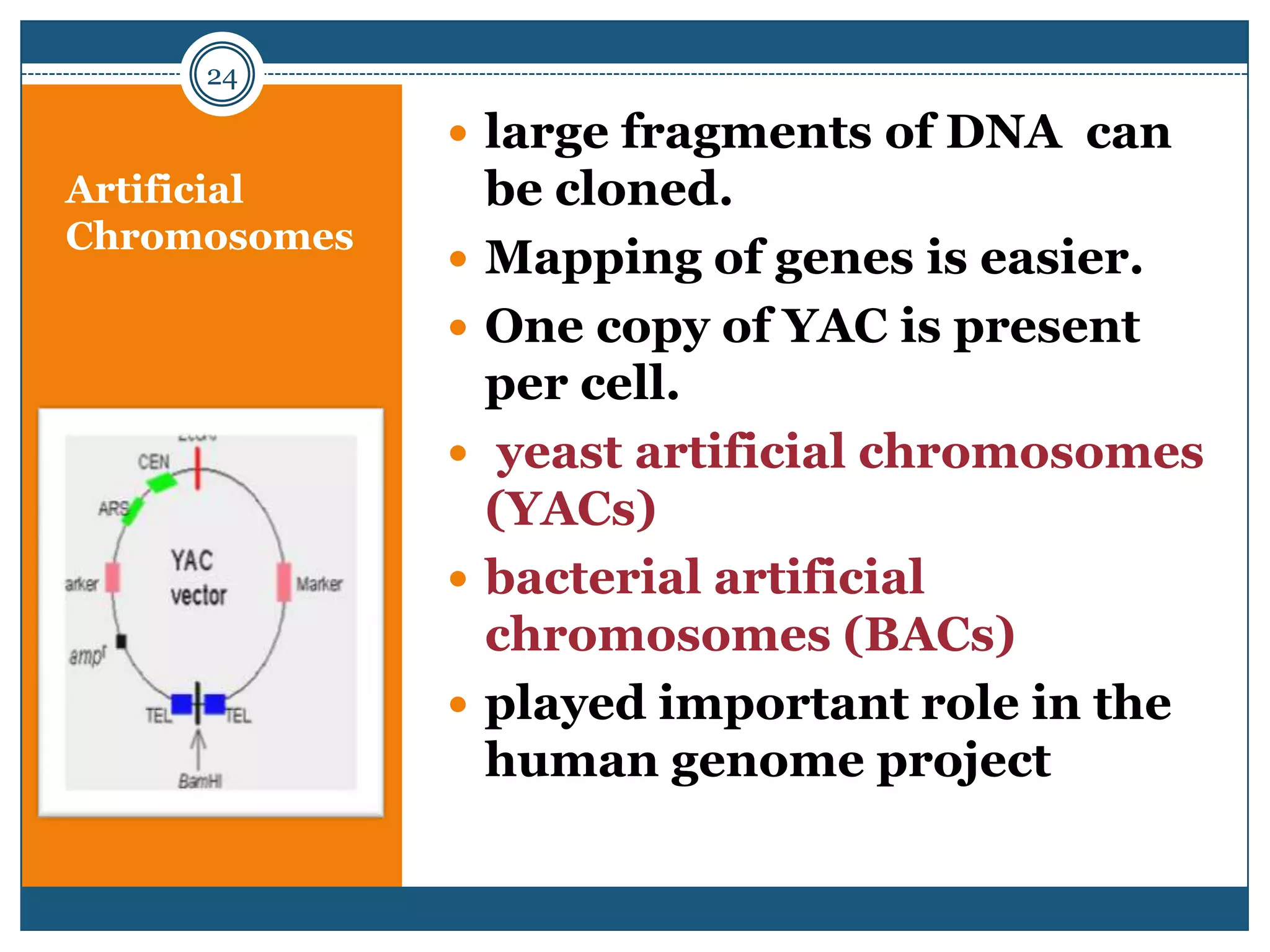 Genetic engineering and recombinant DNA technology | PPTX
