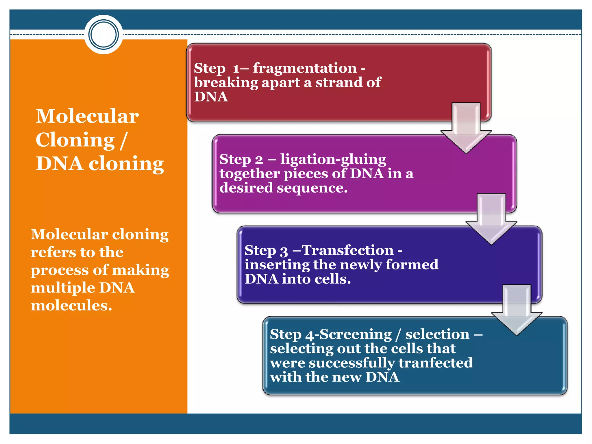 Genetic engineering and recombinant DNA technology | PPTX
