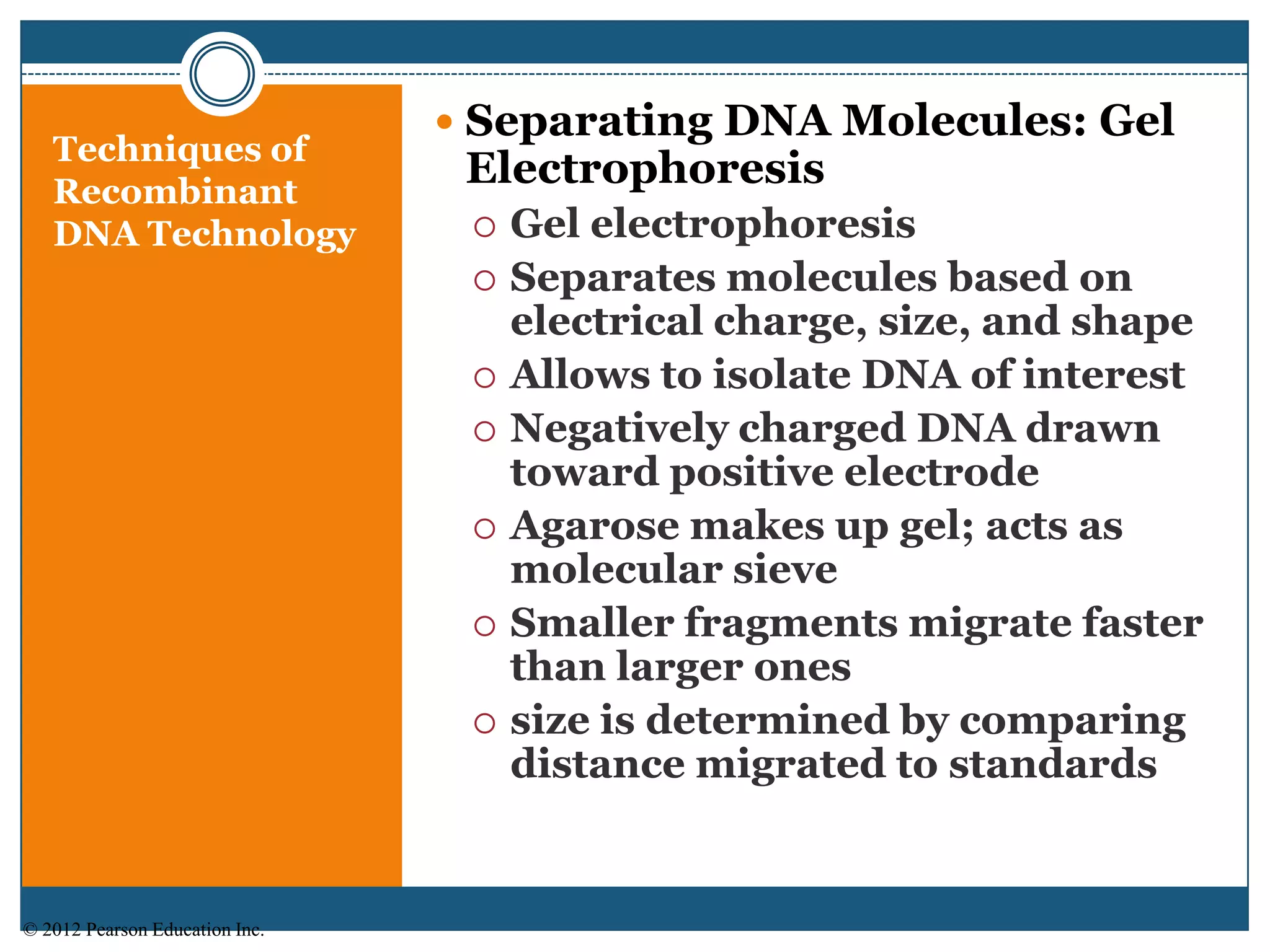 Genetic engineering and recombinant DNA technology | PPTX