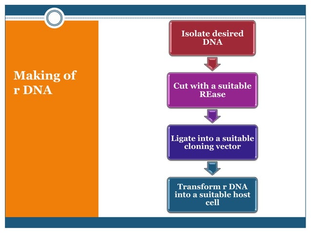 Genetic engineering and recombinant DNA technology | PPTX | Biotech and ...
