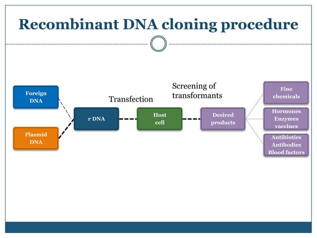 Genetic engineering and recombinant DNA technology | PPTX | Biotech and ...