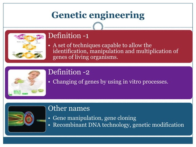 Genetic engineering and recombinant DNA technology | PPTX | Biotech and ...
