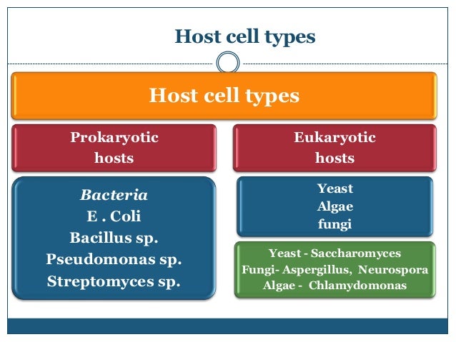 Genetic engineering and recombinant DNA technology