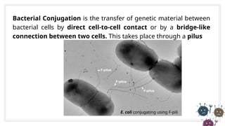 GENETIC ENGINEERING AND BIOTECHNOLOGY... | PPTX