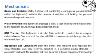 GENETIC ENGINEERING AND BIOTECHNOLOGY... | PPTX