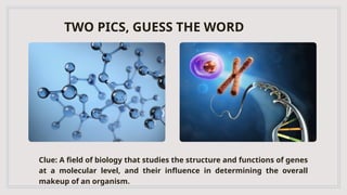 GENETIC ENGINEERING AND BIOTECHNOLOGY... | PPTX
