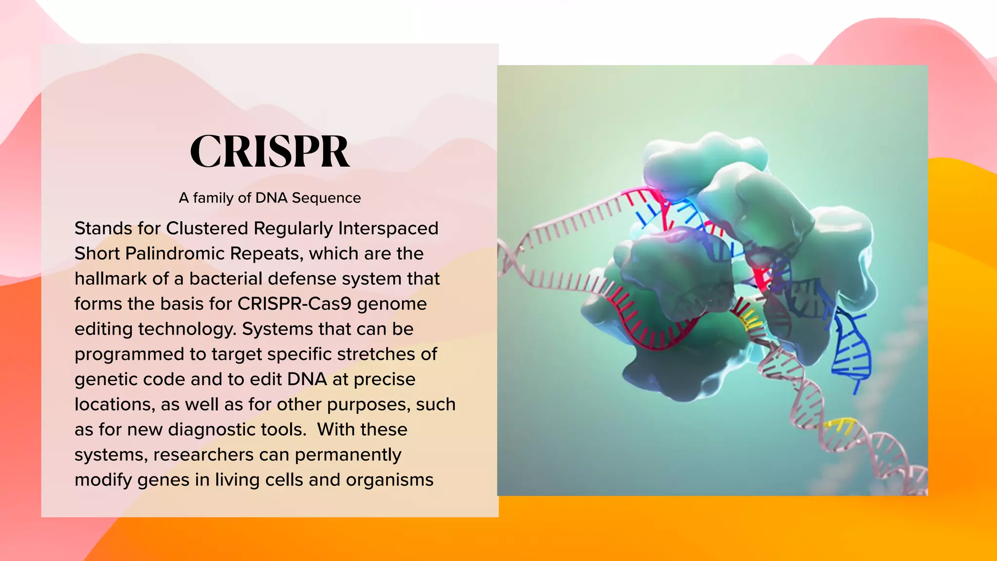 Genetic Engineering Biotechnology.pdf