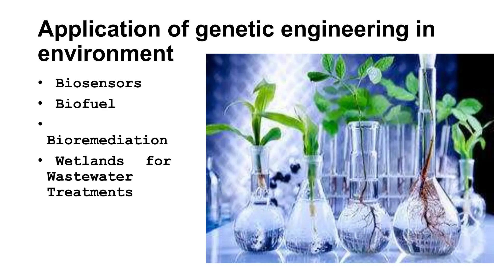 Introduction to genetic engineering by 77.pptx