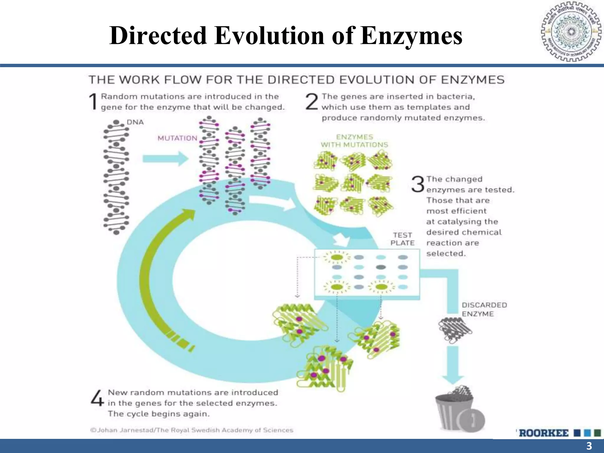 Protein Engineering Strategies | PPTX