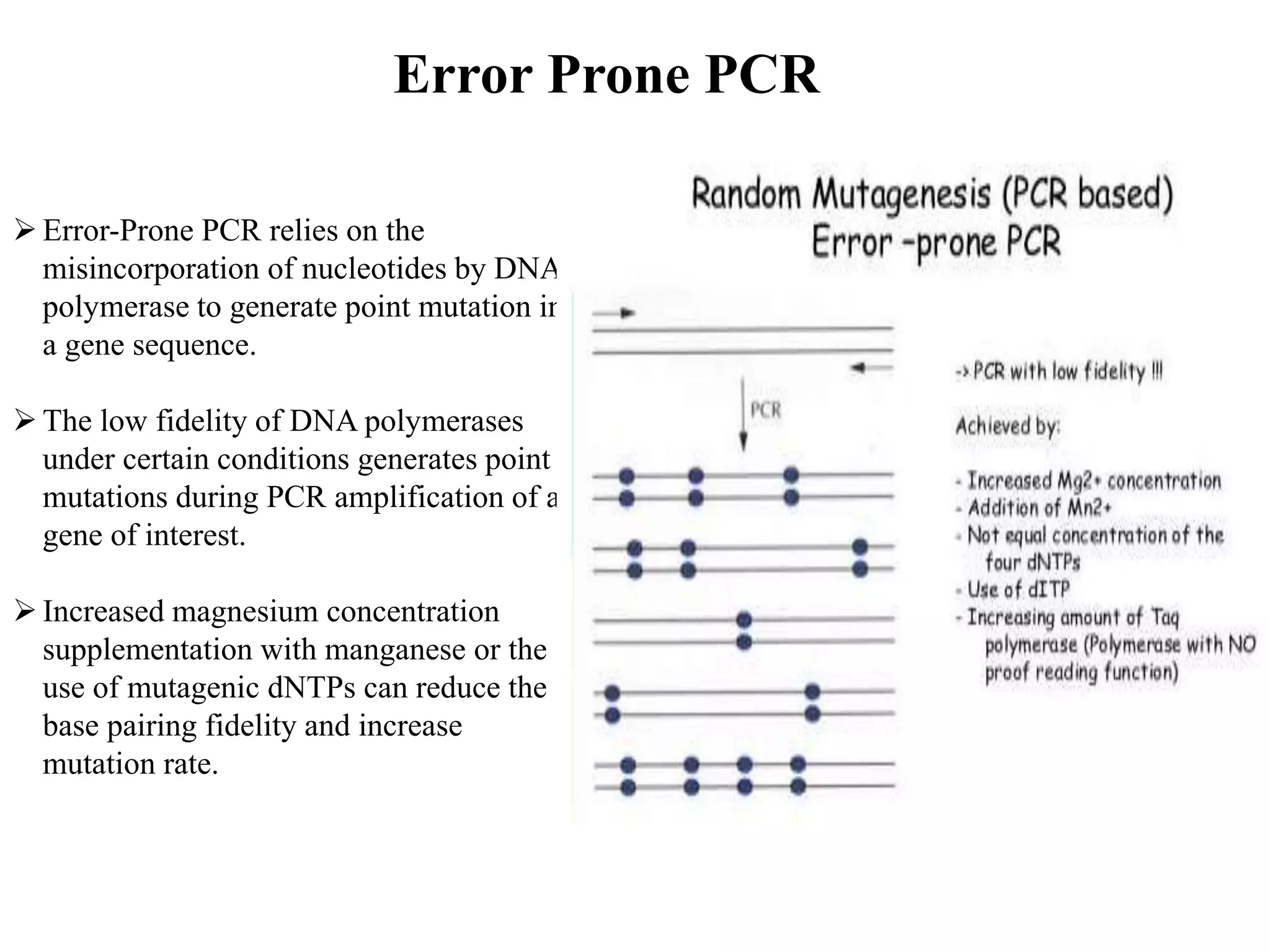 Protein Engineering Strategies | PPTX