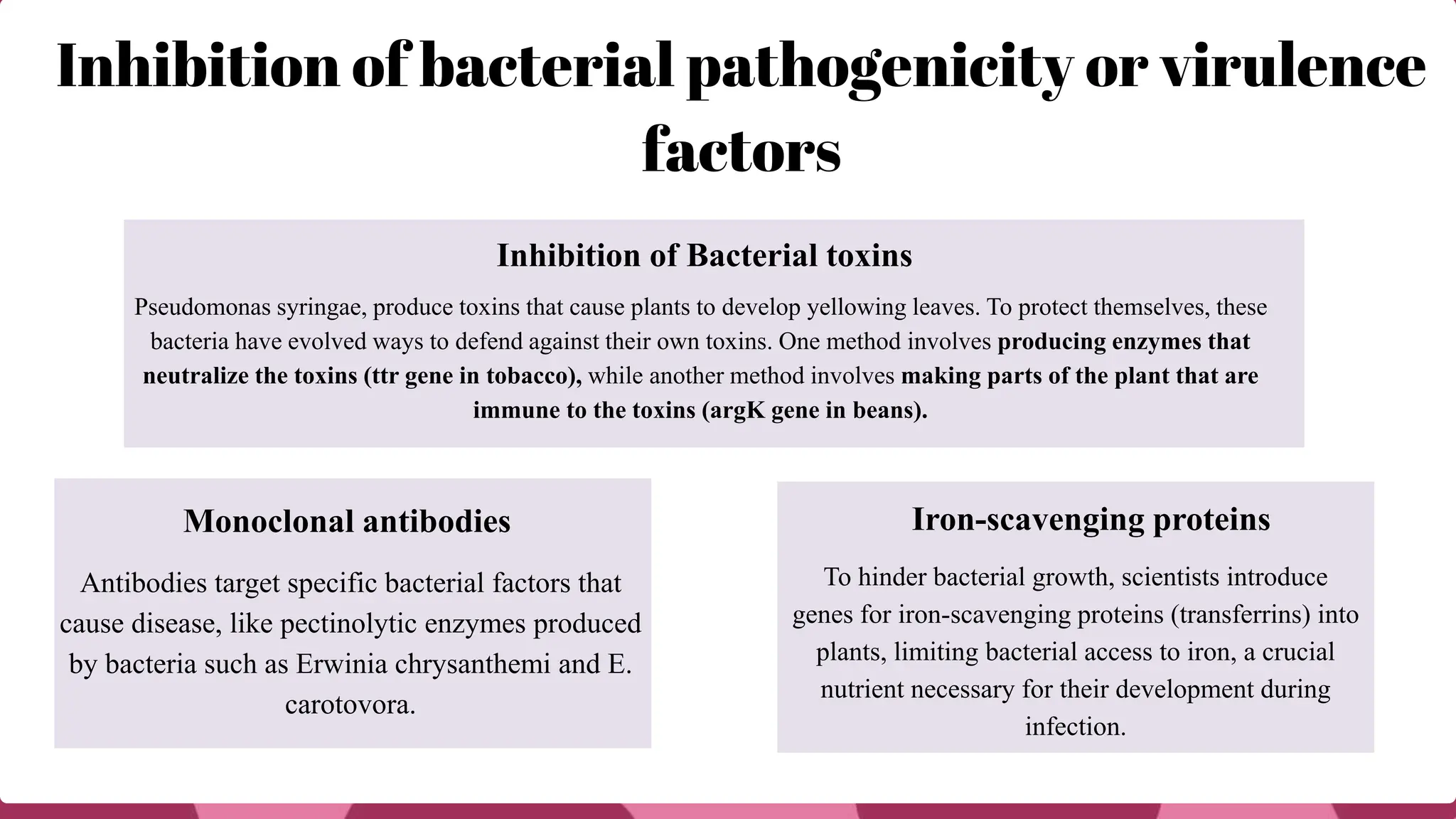 Genetic Engineering in bacteria for resistance.pptx