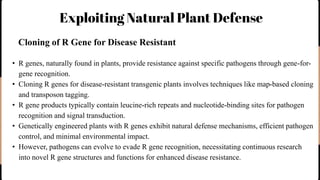 Genetic Engineering in bacteria for resistance.pptx