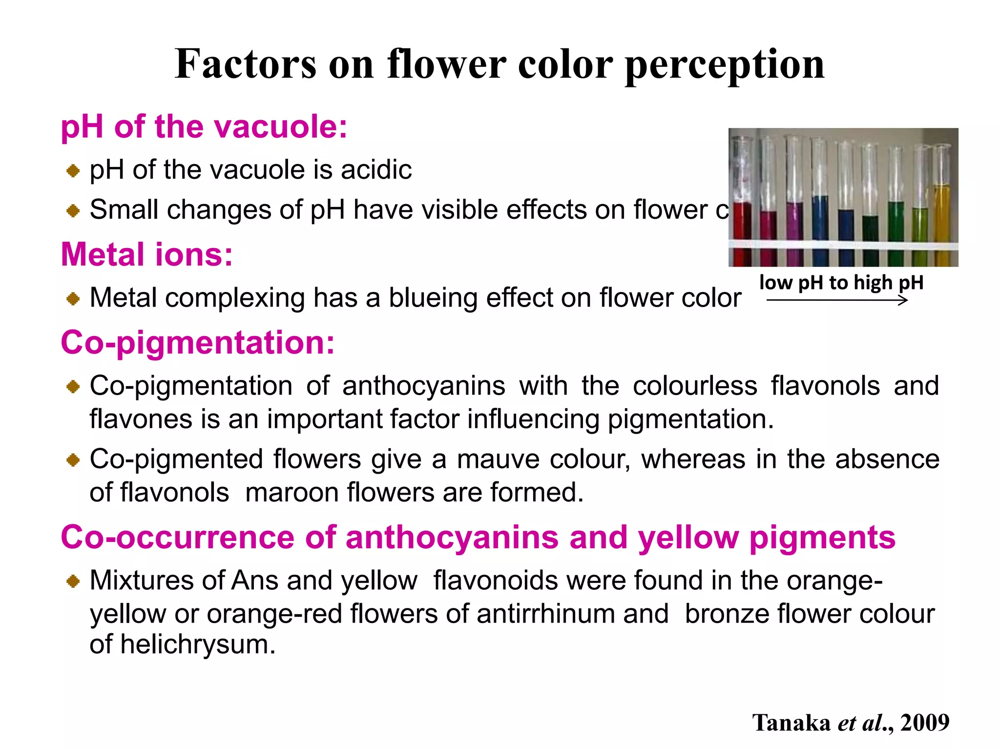 Genetic engineering in floriculture | PPTX