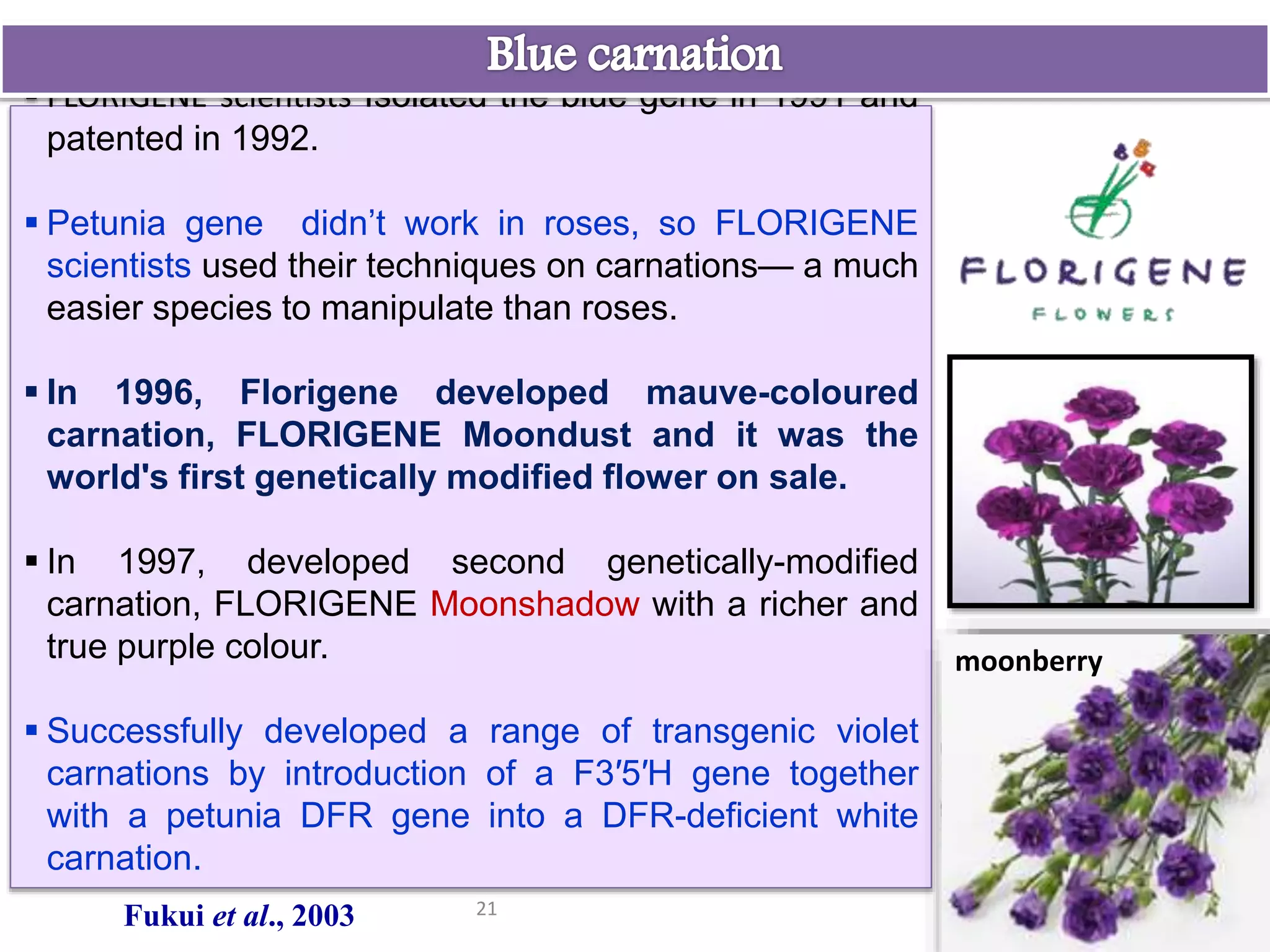 Genetic engineering in floriculture | PPTX