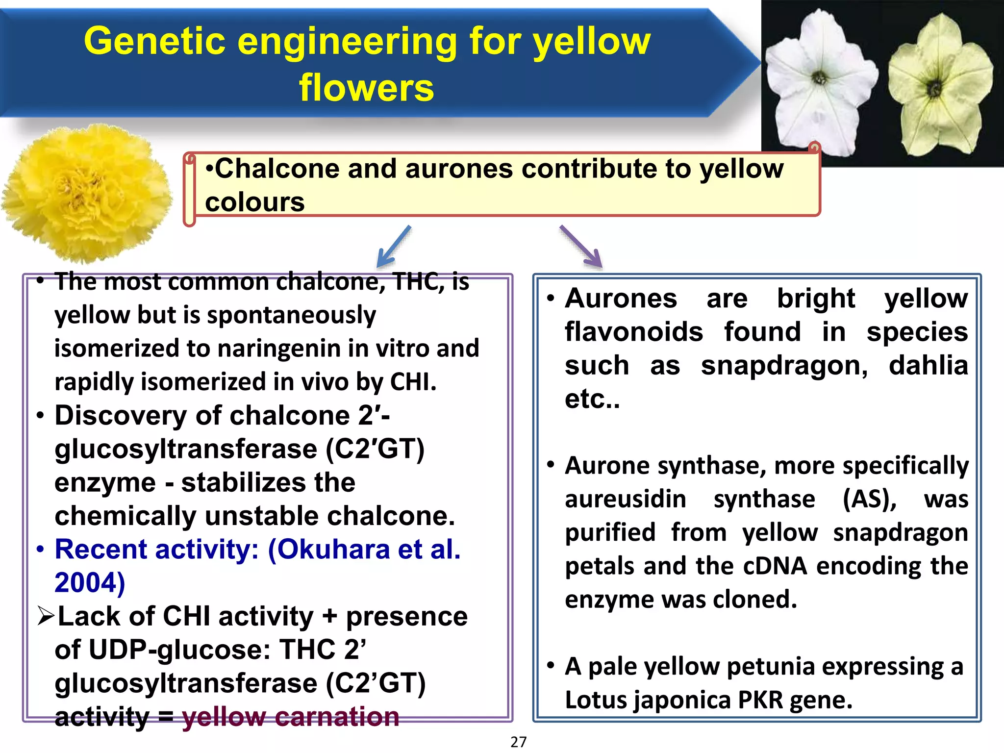 Genetic engineering in floriculture | PPTX