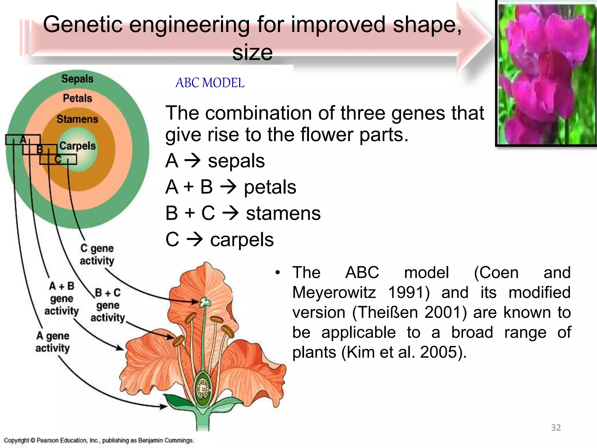 Genetic engineering in floriculture | PPTX