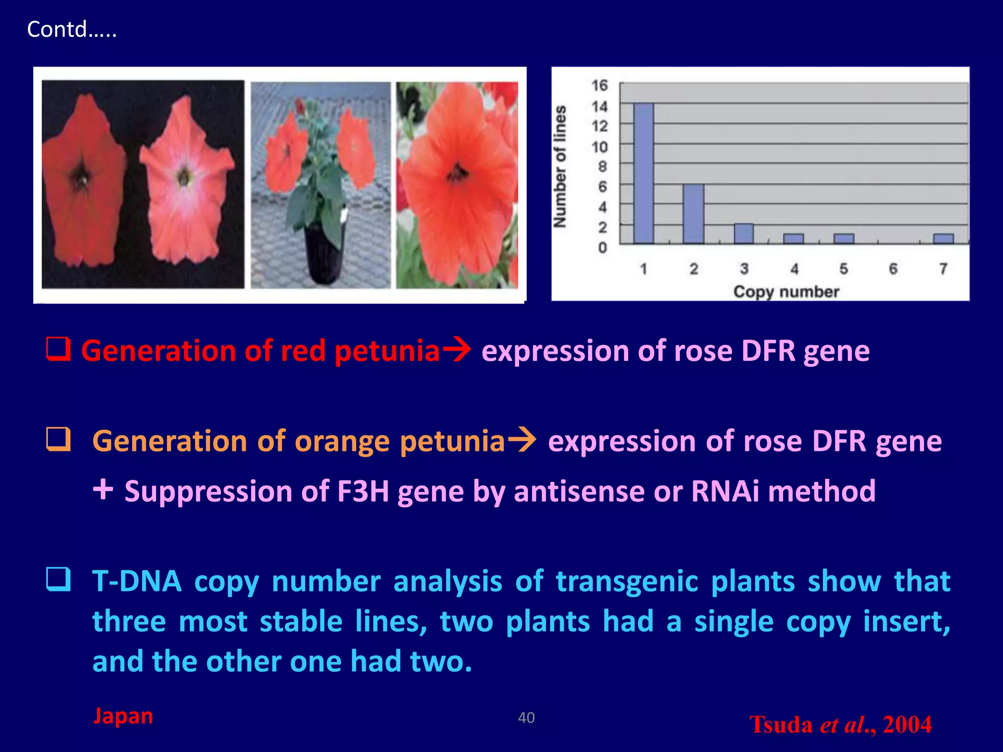 Genetic engineering in floriculture | PPTX