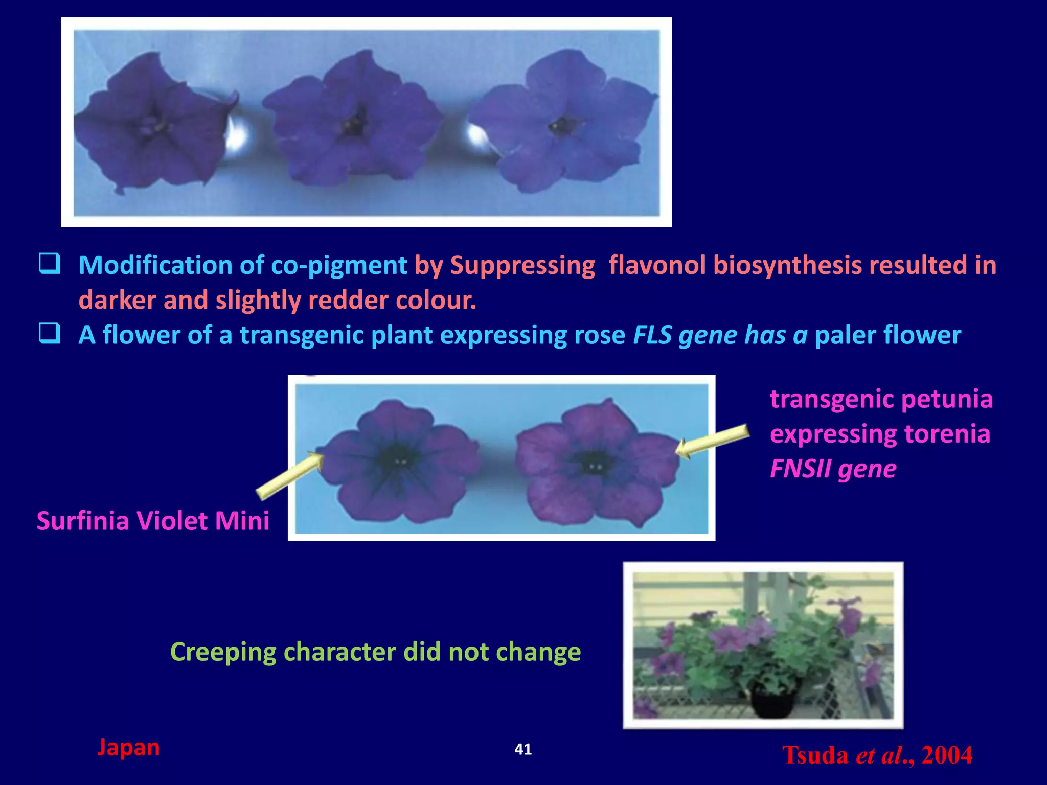 Genetic engineering in floriculture | PPTX
