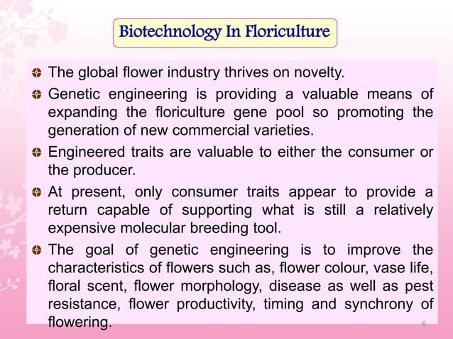 Genetic engineering in floriculture | PPTX