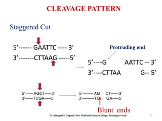 Genetic engineering lecture PPT- Dr. Mangesh Dagwal 2020 | PPSX