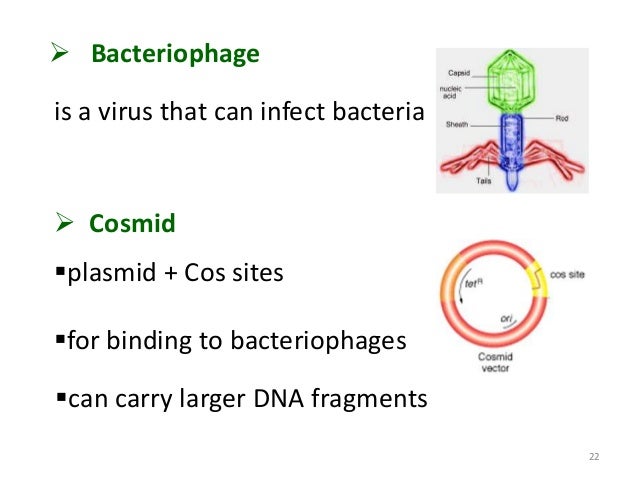 Genetic engineering,recombinant DNA technology..