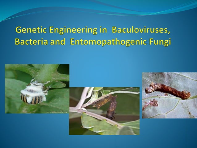 Genetic engineering & new technologies their progress in Integrated ...