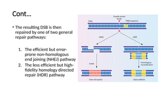 genetic engineering CRISPR gene knockdown (nisha).pptx