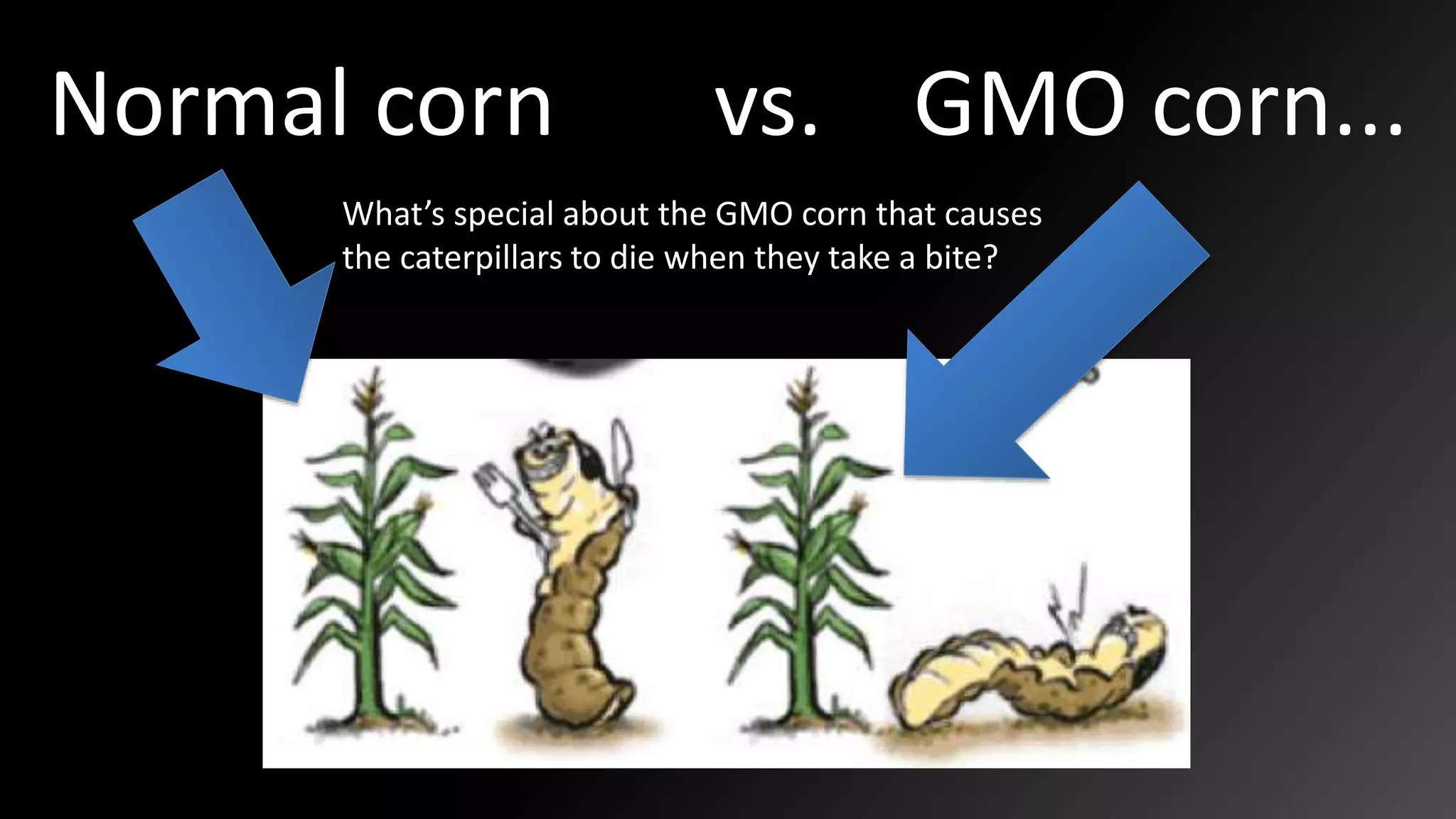 Genetic Engineering Notes | PPTX