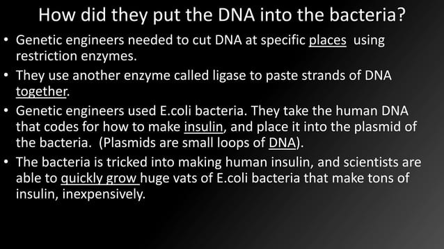 Genetic Engineering Notes | PPTX