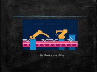 Genetic engineering of humans | PPTX