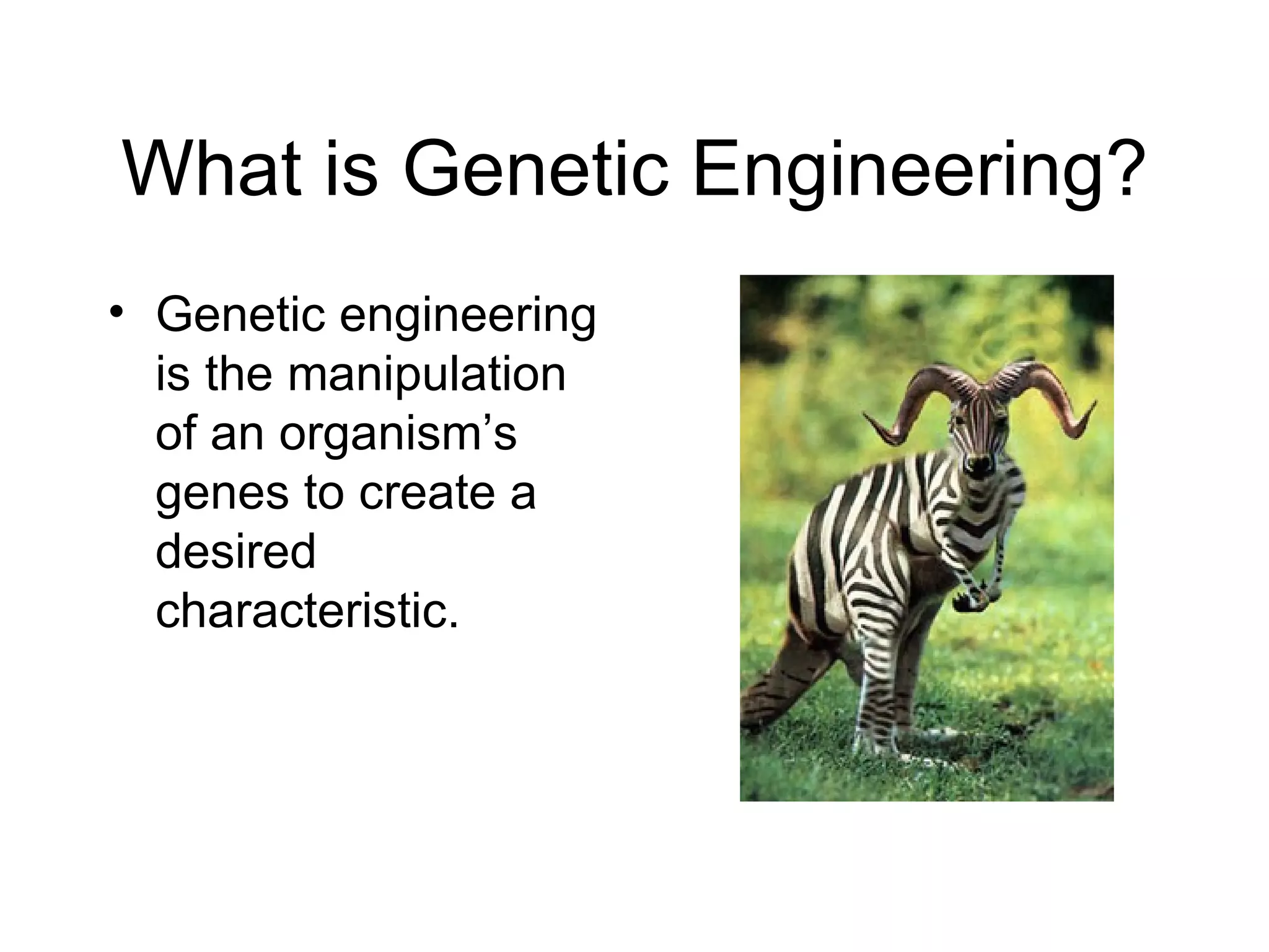 Genetic Engineering Powerpoint | PPT
